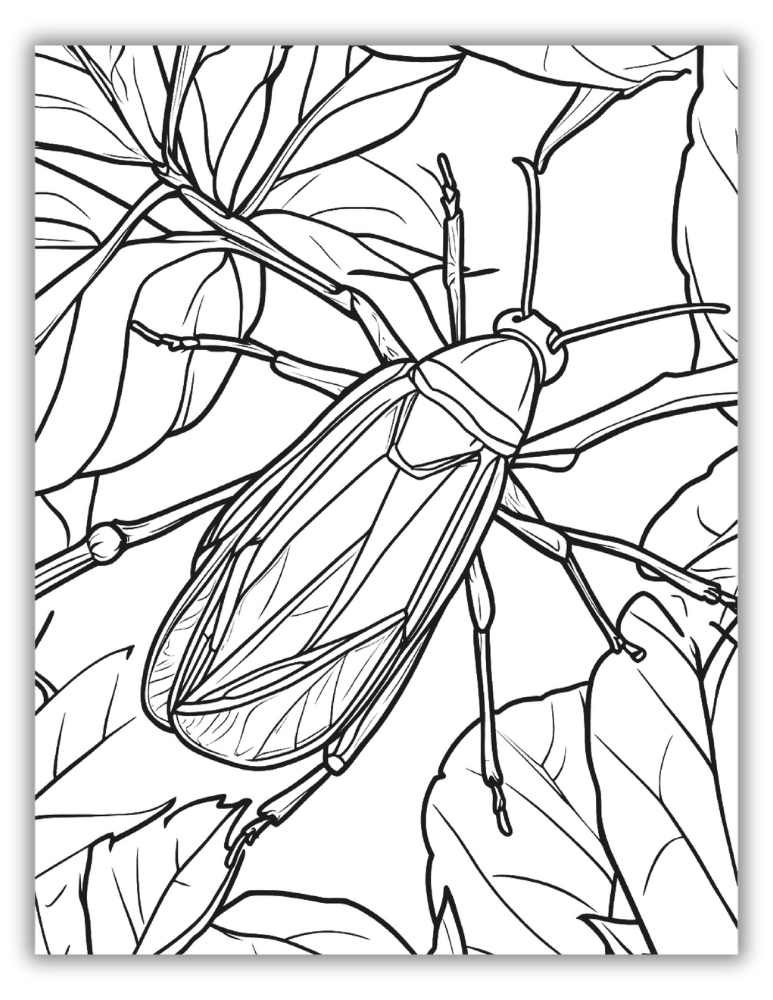 Free Bug Coloring Pages Printable for Kids and Adults