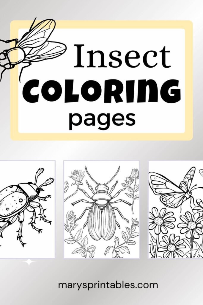 Printable Coloring Pages – Free & Fun Designs for All Ages