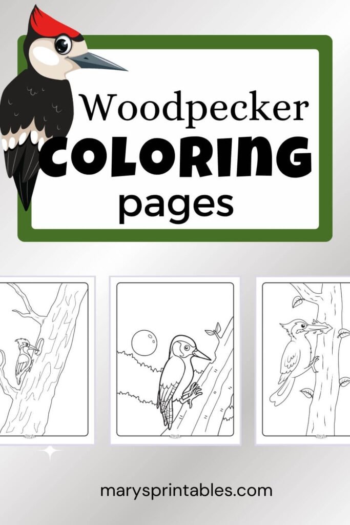 Animal Coloring Pages | Free Printable Animals to Color